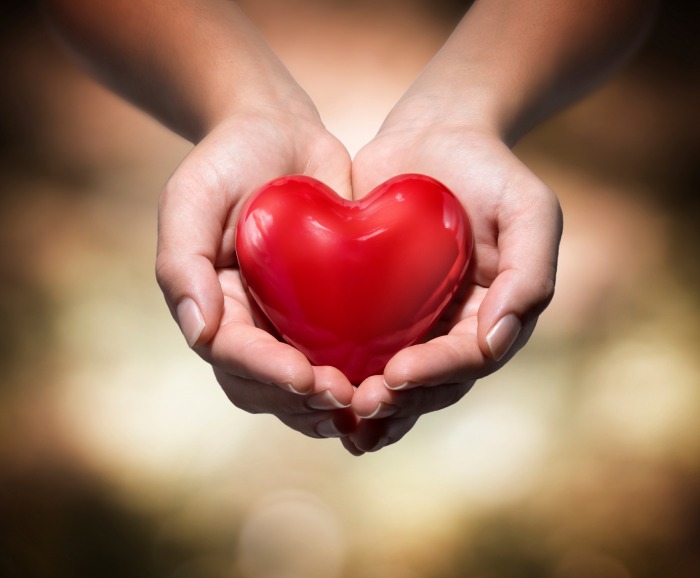 How to Give Back this Thanksgiving - The TRUTH About Motherhood