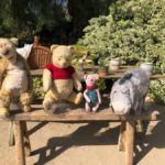 Christopher Robin Blu Ray Movie and Bonus Features Review - The TRUTH ...